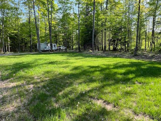 Secluded River Ridge Campsite - Hipcamp in Thompsonville, Michigan