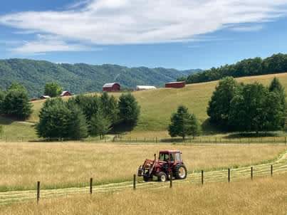 Country Roots Farm - Hipcamp in Wytheville, Virginia