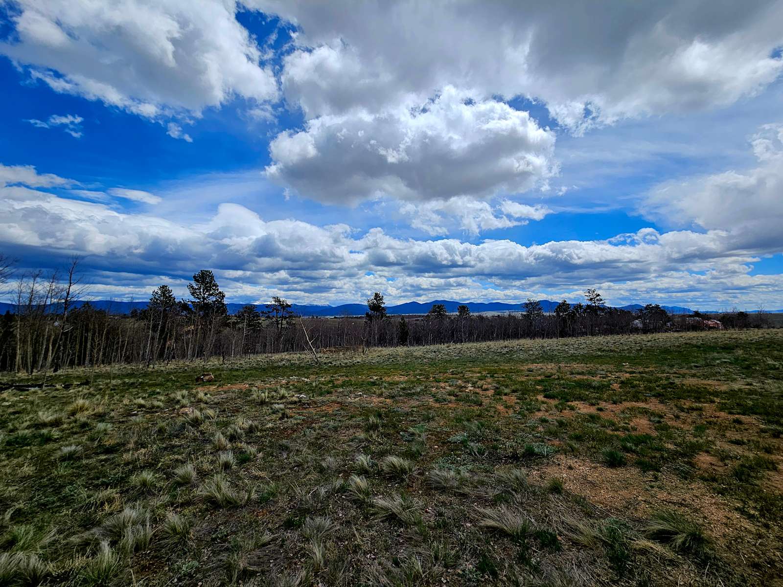 Gypsy Mountain Camping - Hipcamp in Como, Colorado