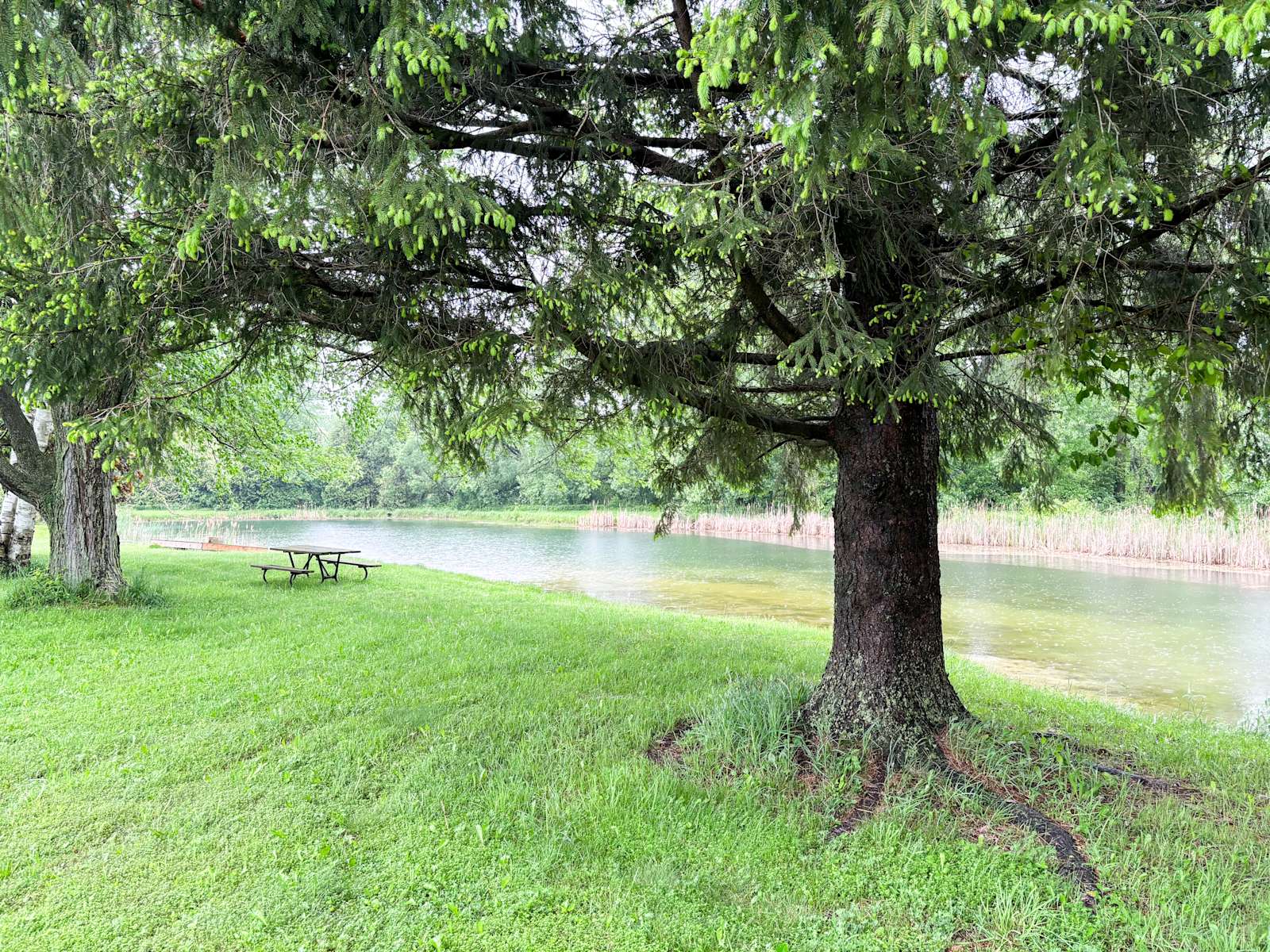 Hidden Oasis Near Elora - Hipcamp in Ariss, Ontario