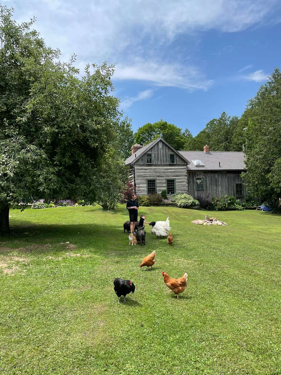 Nourished In Nature Tula Tiny Cabin - Hipcamp in Orangeville, Ontario