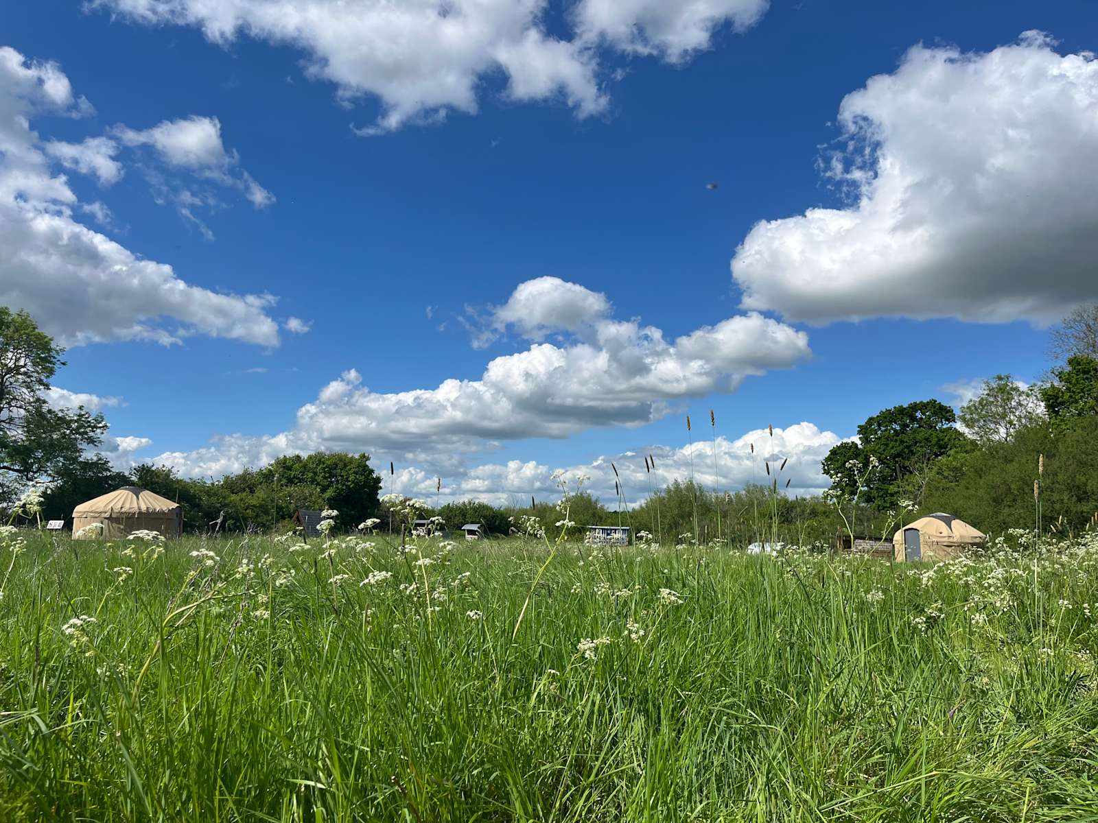 Nordic Glamping at Botswicky - Hipcamp in , England