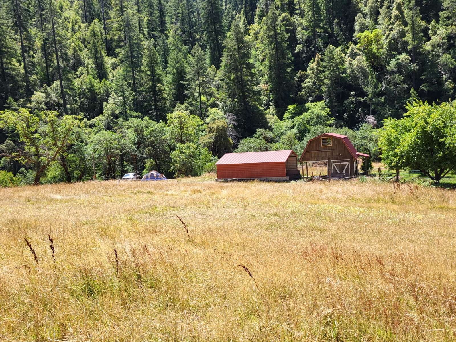 Angel Ranch Horse Camp - Hipcamp in Orleans, California