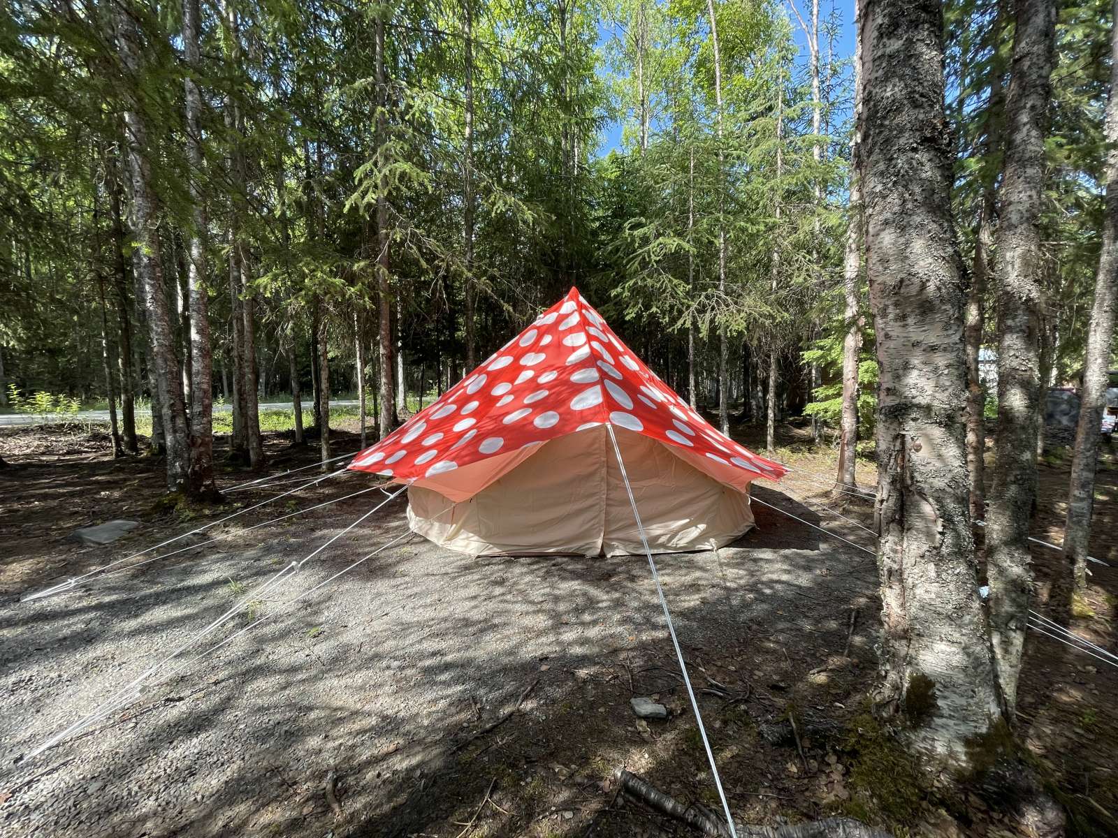 Gnome Dome & Mushroom Room Hope AK - Hipcamp in Hope, Alaska