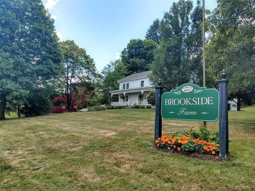 Brookside Lean-to - Hipcamp in Branchport, New York