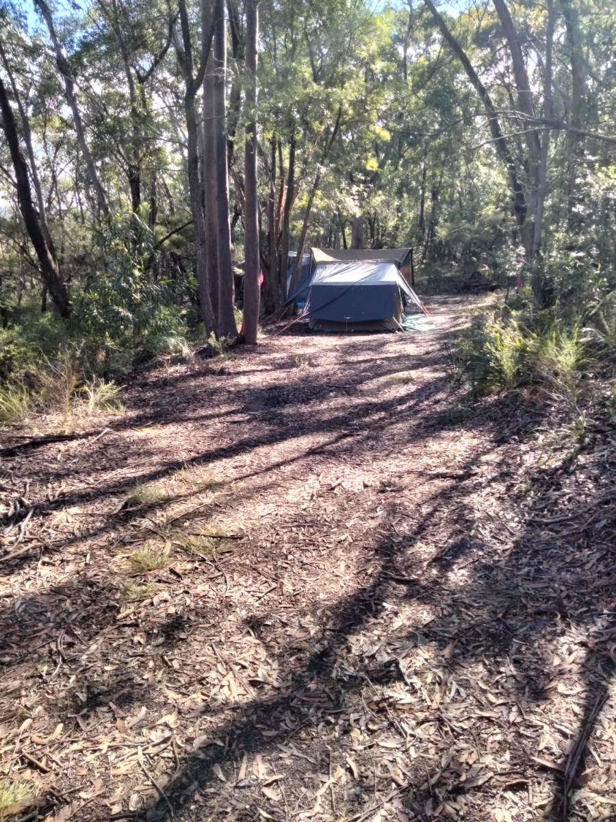 Currawong Ridge Camp - Hipcamp in Sydney, New South Wales