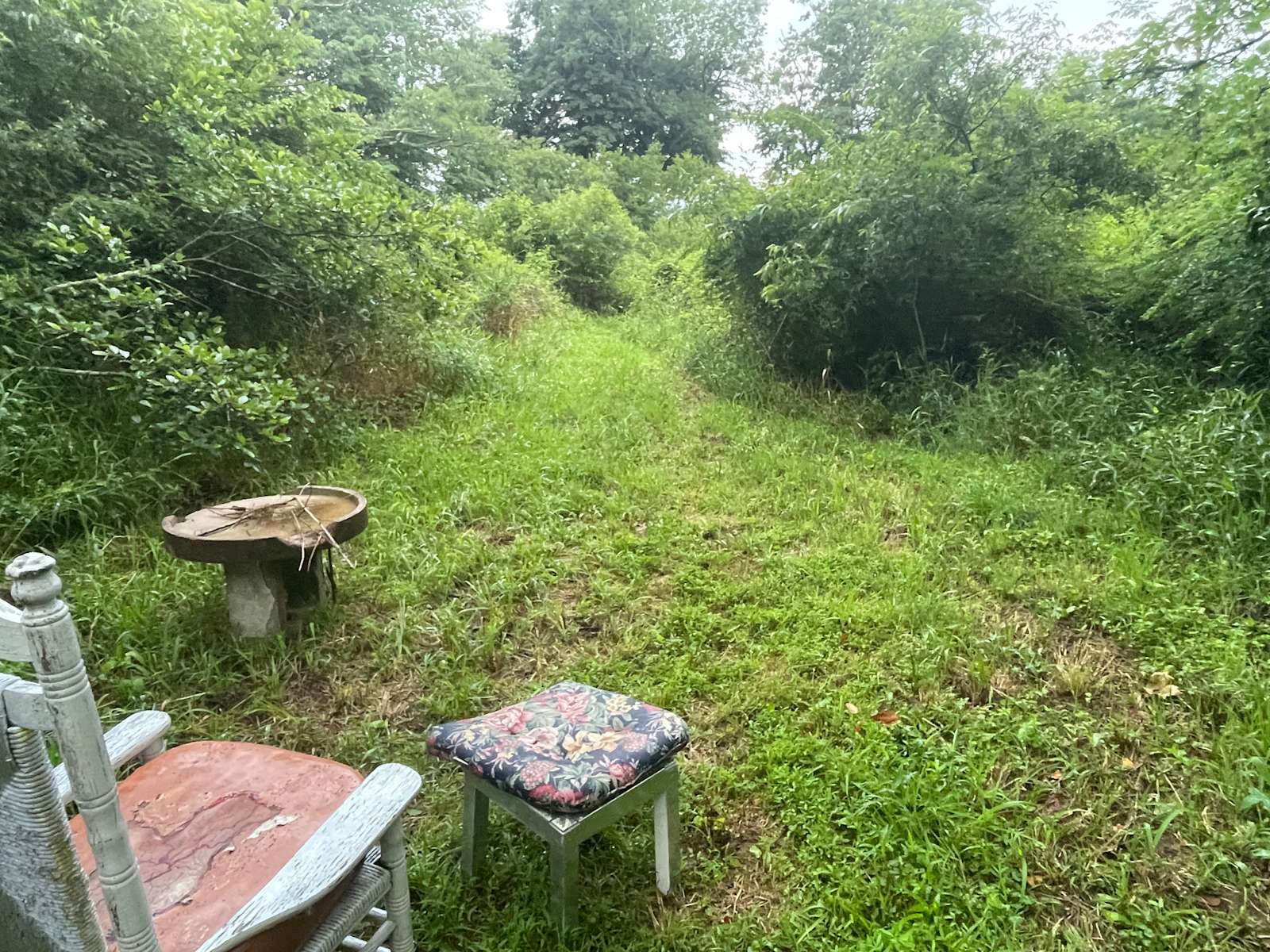 Rose and ruby - Hipcamp in Newland, North Carolina