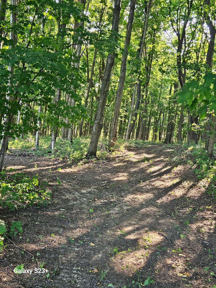 Hoofbeat Hollow Camp - Hipcamp in Ashippun, Wisconsin
