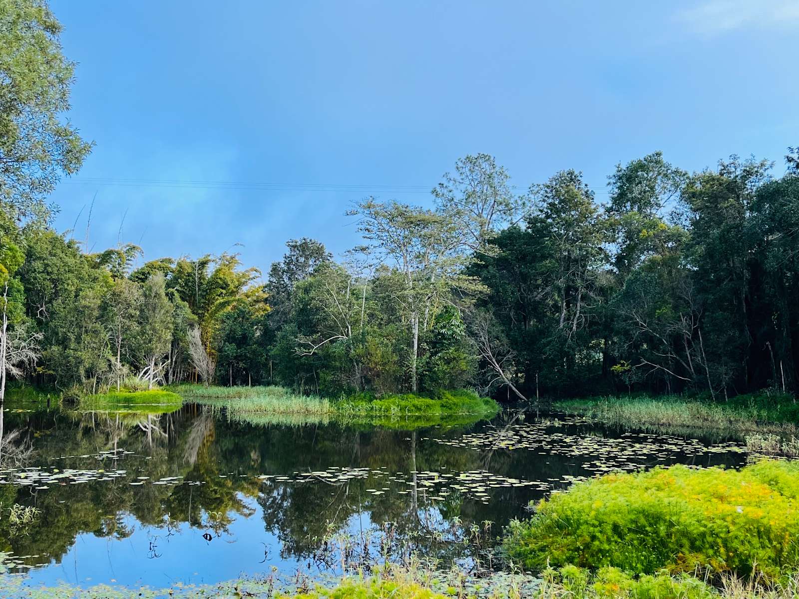Chain of Ponds Campsite - Hipcamp in North Deep Creek, Queensland