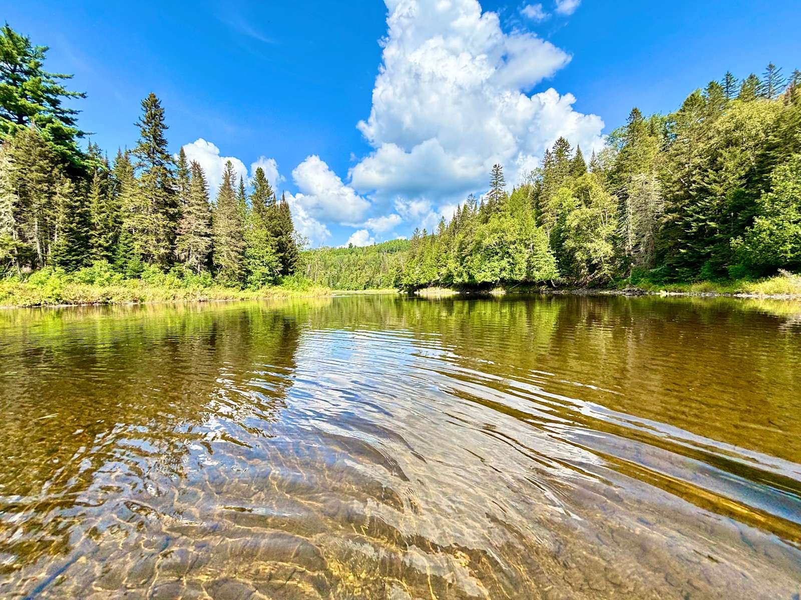 Junction 19 & Company - Hipcamp in Fort Kent, Maine