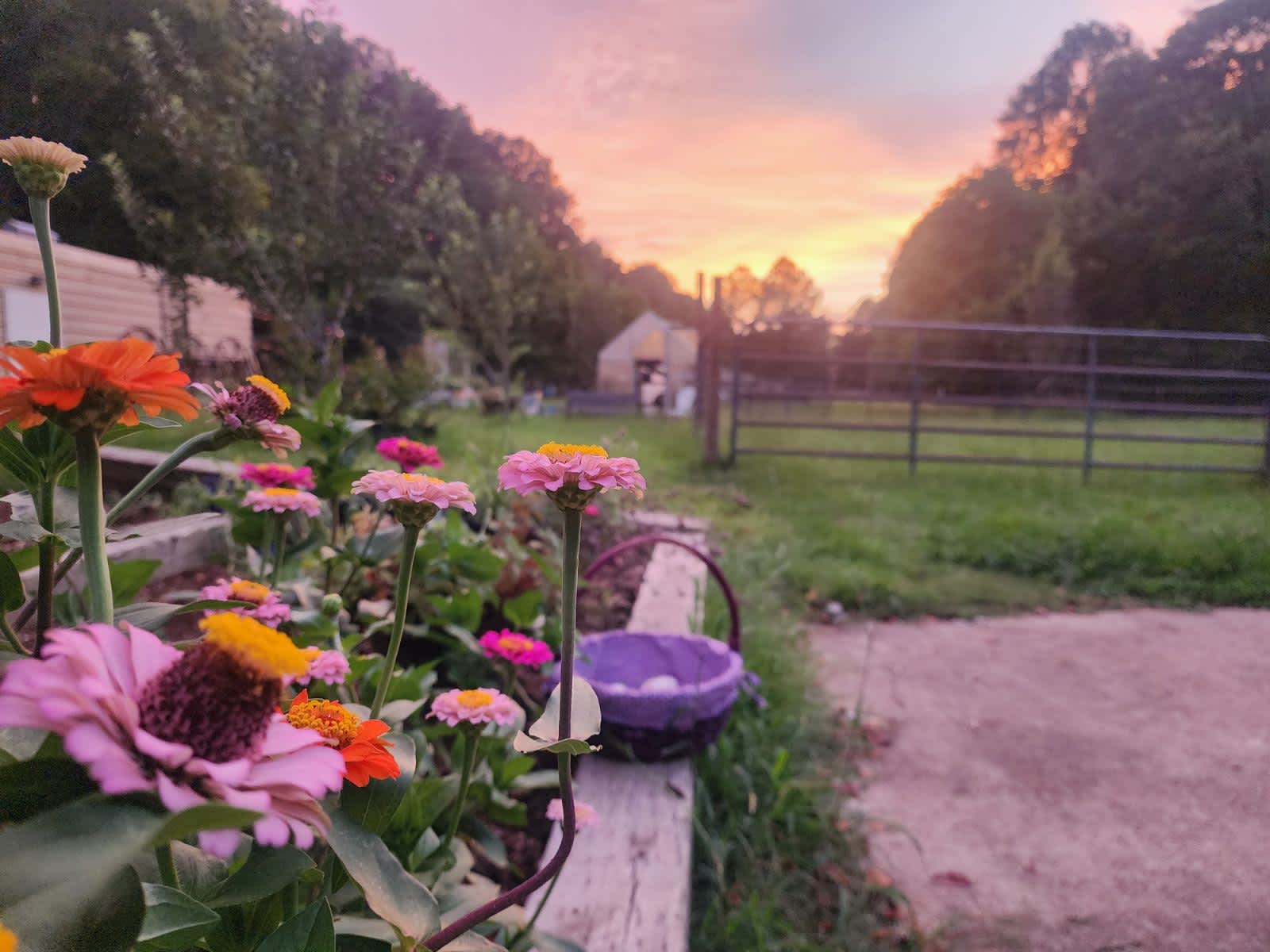 Sunset Hill Farm - Hipcamp in Parrish, Alabama