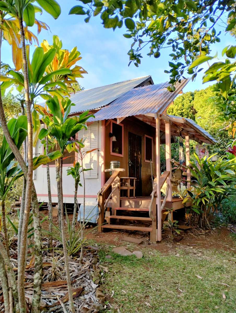 Big Island Retreat - Hipcamp in Paauilo, Hawaii