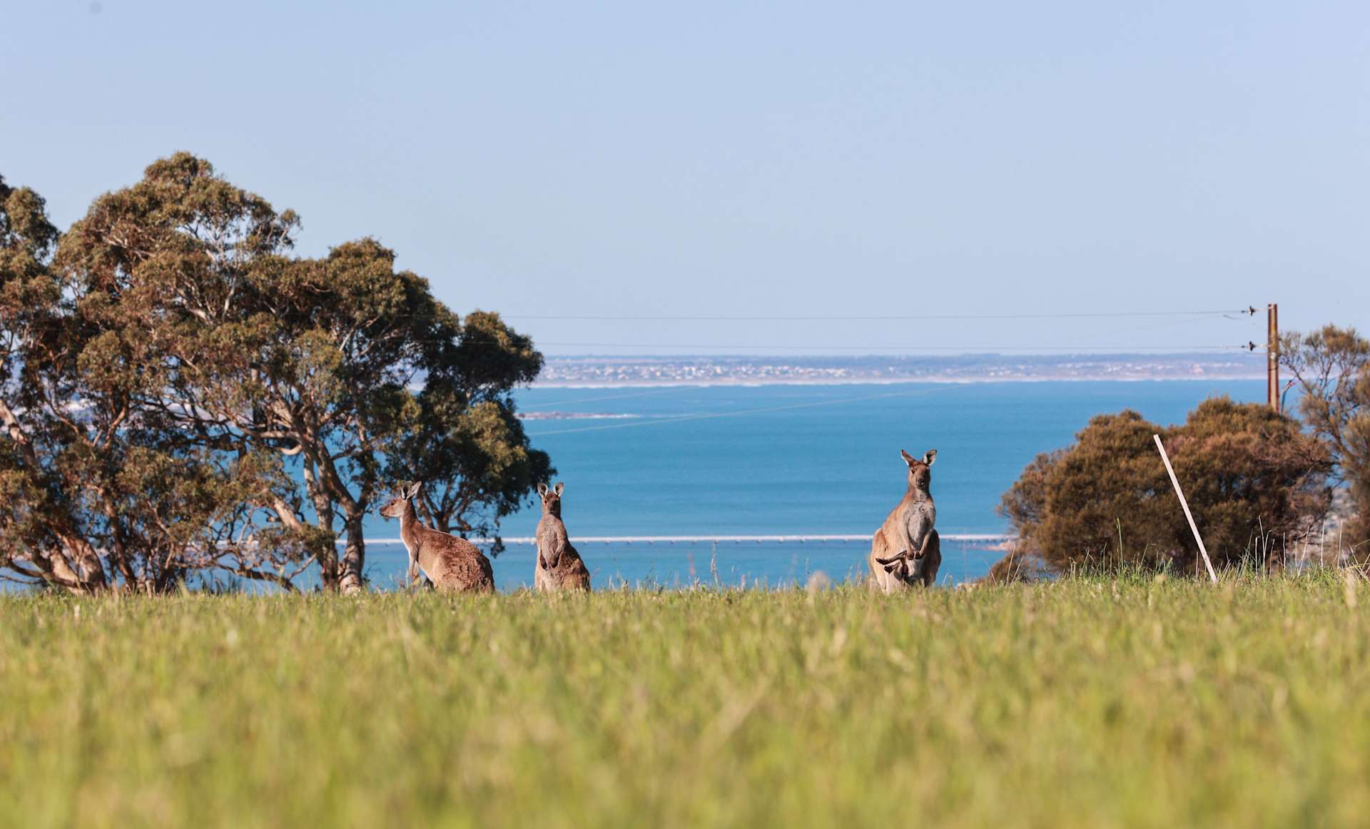 Victors Views - Hipcamp in Waitpinga, South Australia