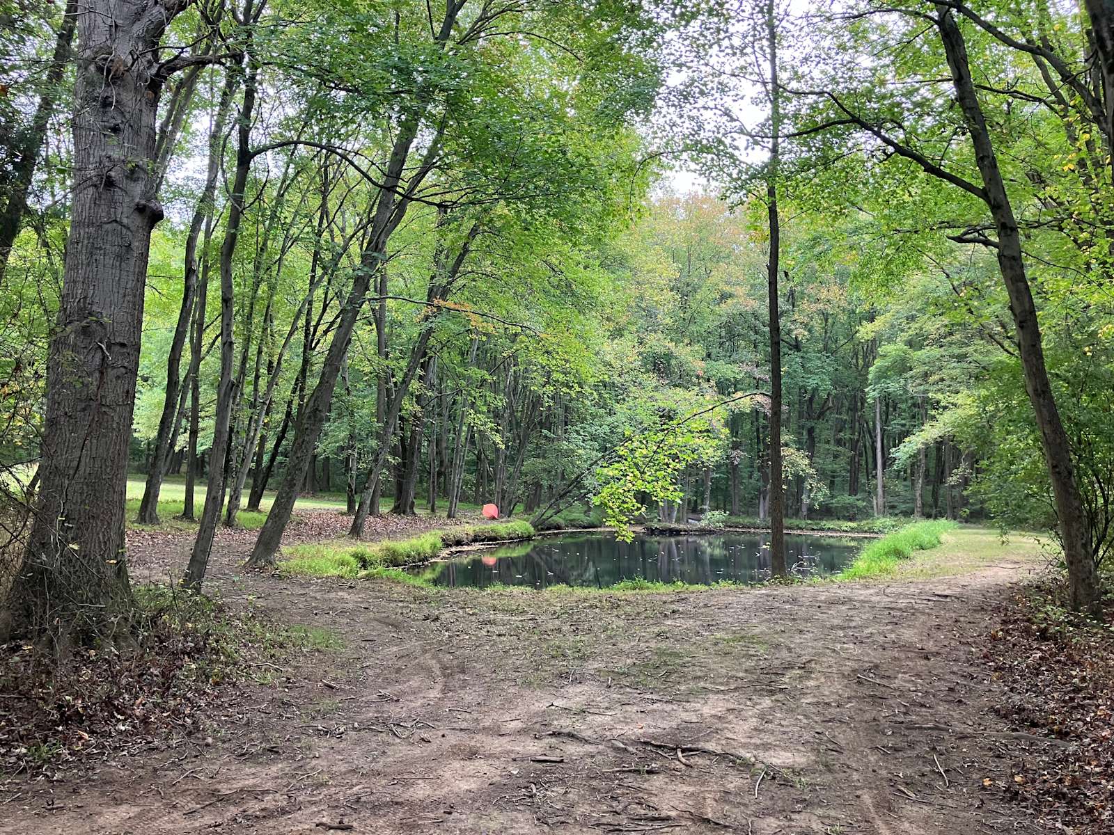 Hound Dog Acres - Hipcamp in Elkton, Maryland