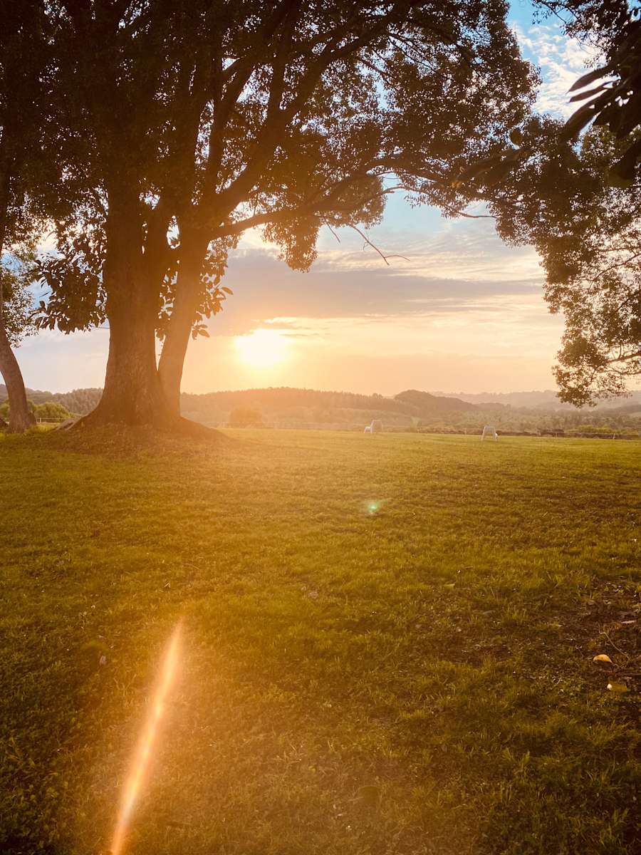 Rockhaven Booyong - Hipcamp in Booyong, New South Wales