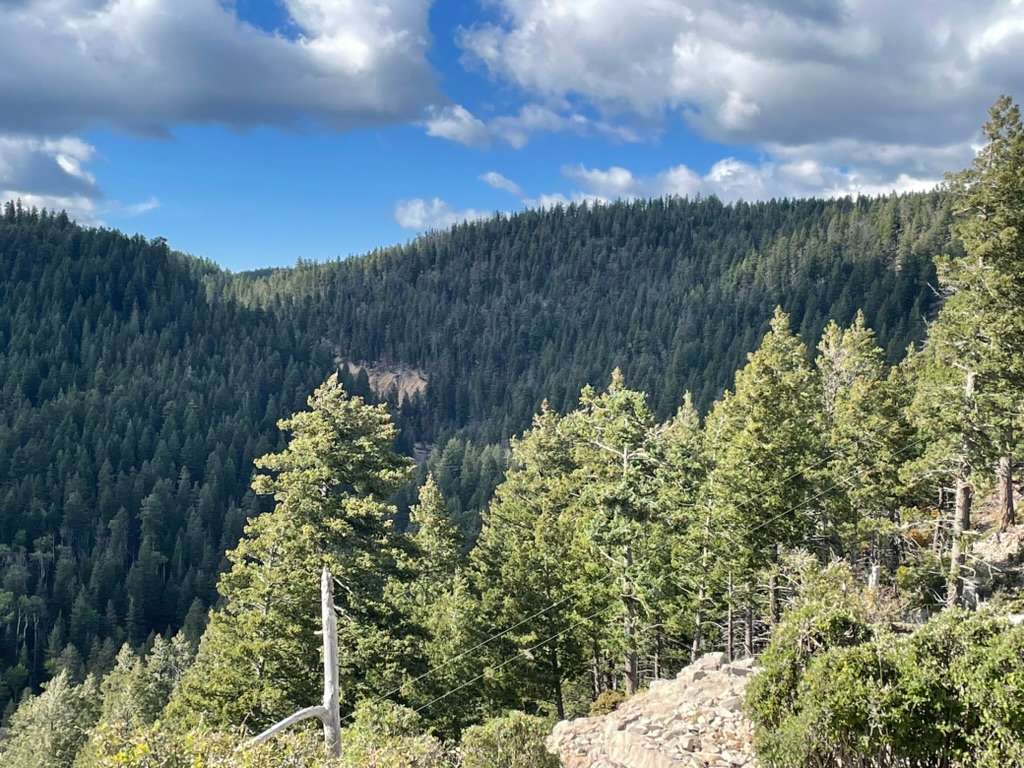 Camp24 Your RV Destination - Hipcamp in Weed, New Mexico