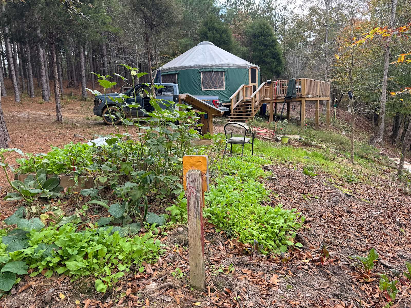 Wolf River Headwaters - Hipcamp in Ashland, Mississippi