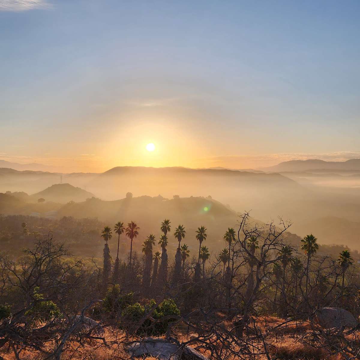 Splitrock - Branch Out Glamping - Hipcamp in Fallbrook, California