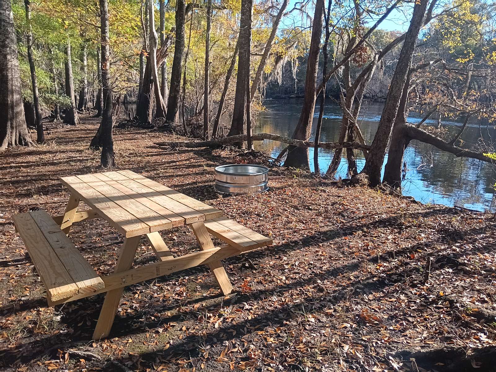 Edisto Camp And Canoe - Hipcamp in Ridgeville, South Carolina