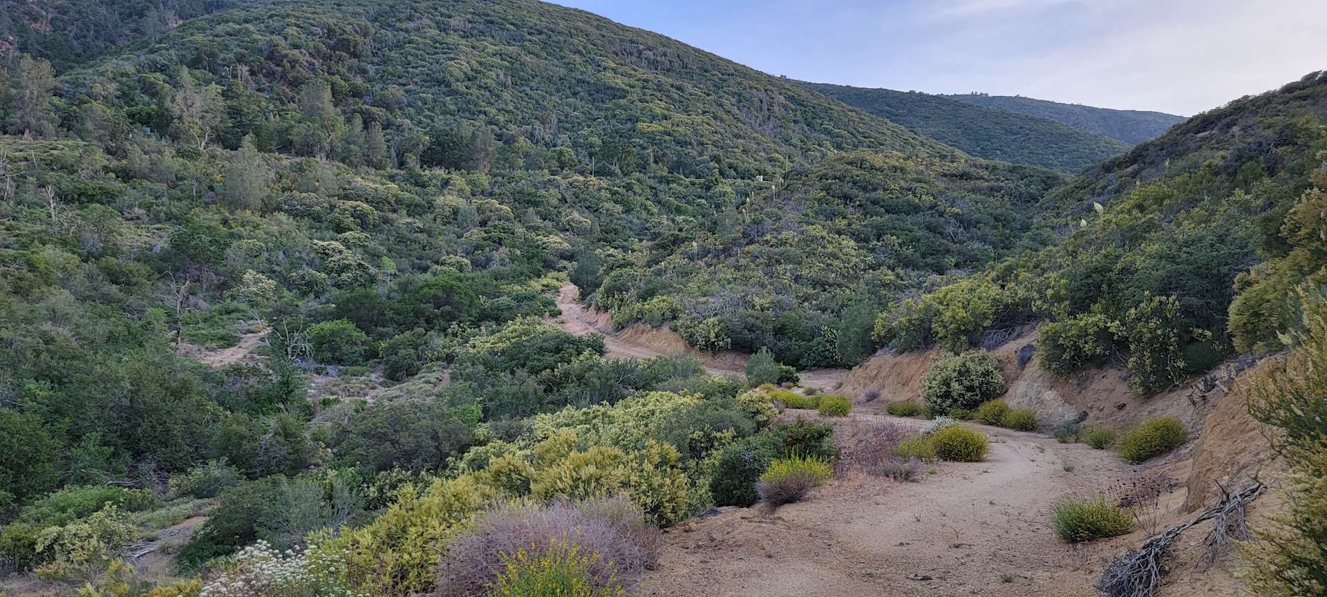 The Hideout - 100+ Acres Oak Trees - Hipcamp in Lake Hughes, California