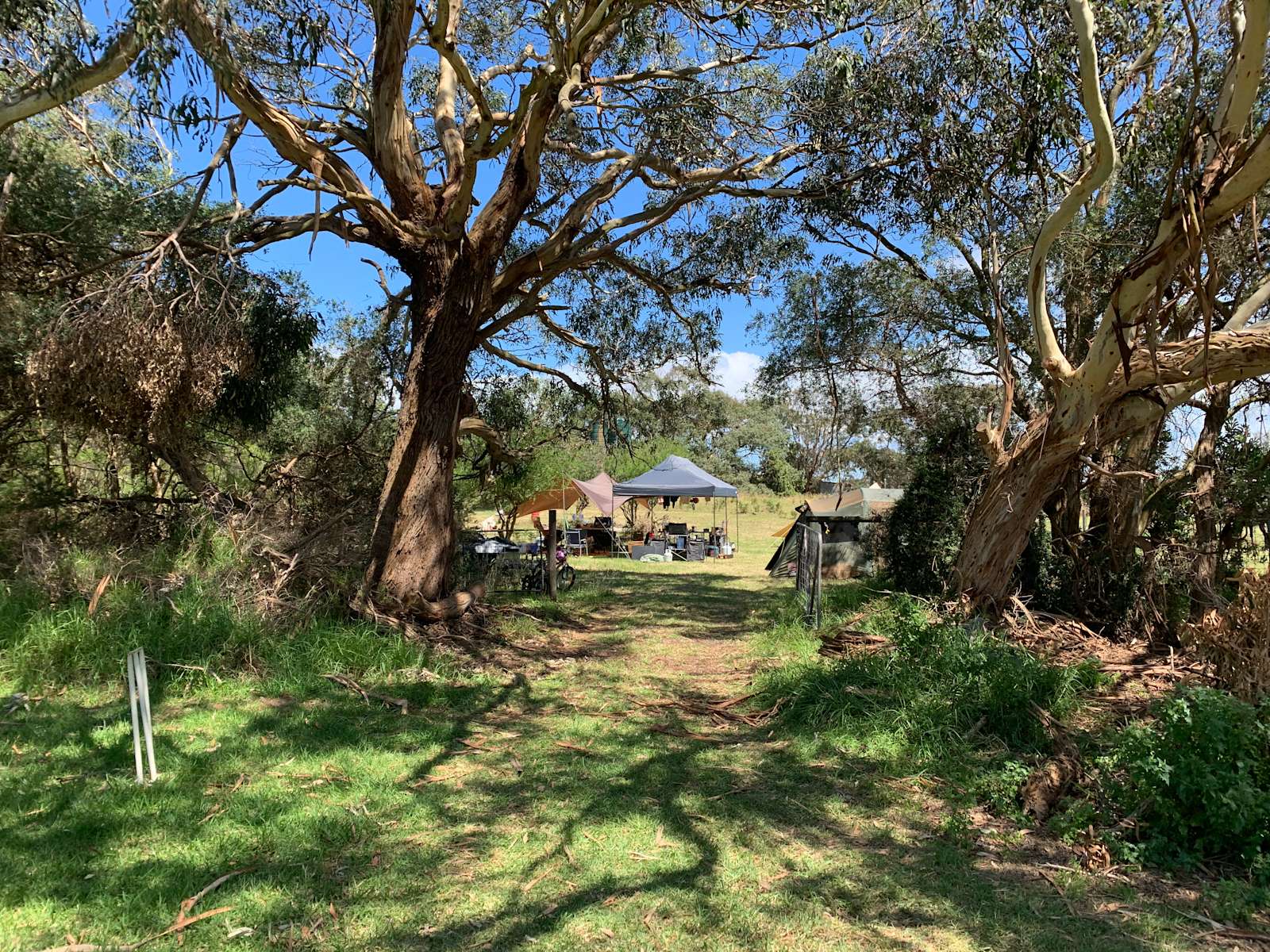 Sandy Point Farm Camp - Hipcamp in Sandy Point, Victoria