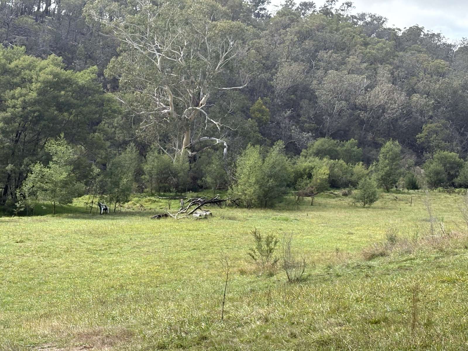 Tarcool - Hipcamp in Boisdale, Victoria