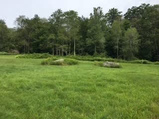 Milo Camp - Hipcamp in Livingston Manor, New York