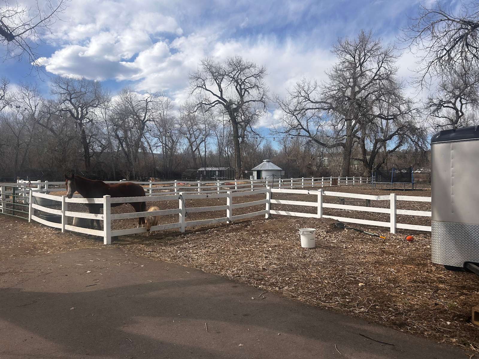 Urban Flower Farm Oasis - Hipcamp in Lakewood, Colorado