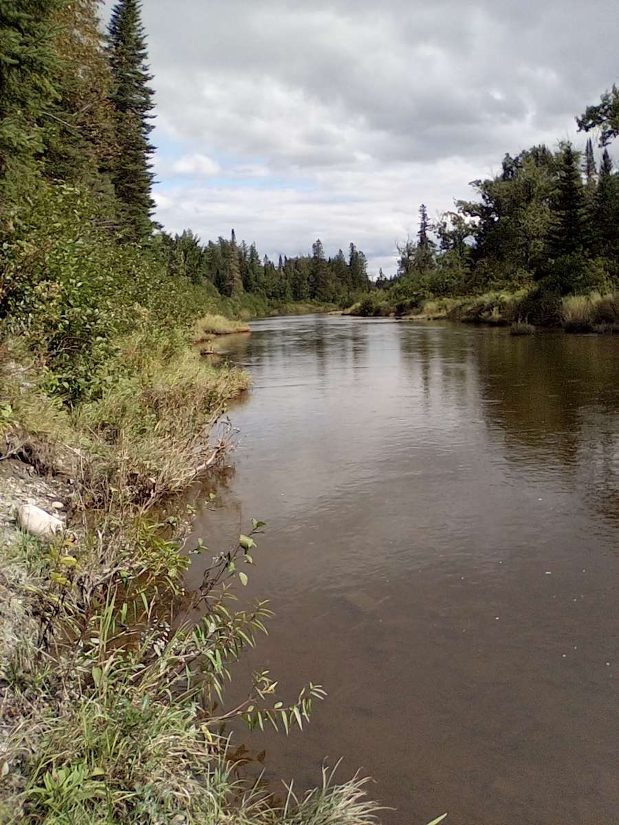 Jemtland | Off-Grid Riverfront Camp - Hipcamp in Connor Township, Maine