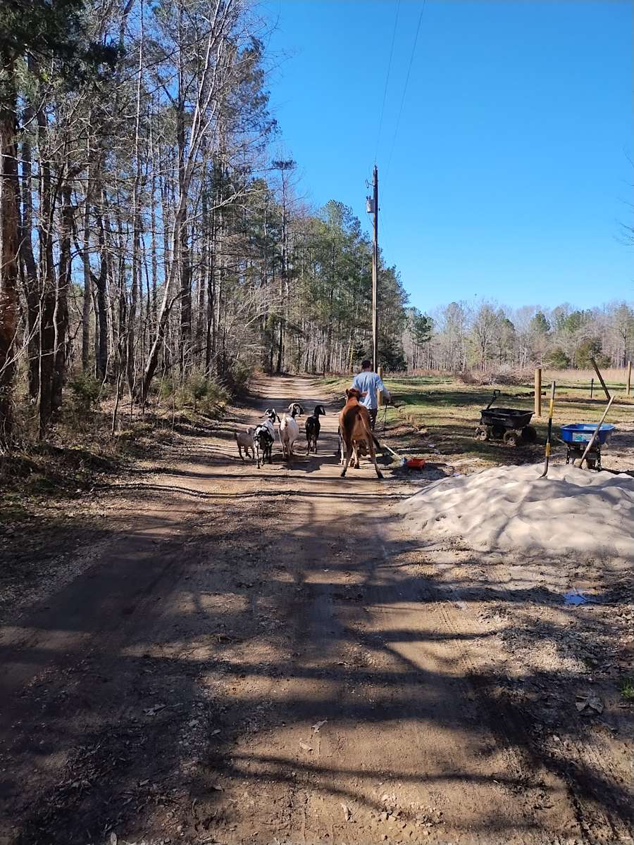 Natchez Trace Resting Place - Hipcamp in Canton, Mississippi