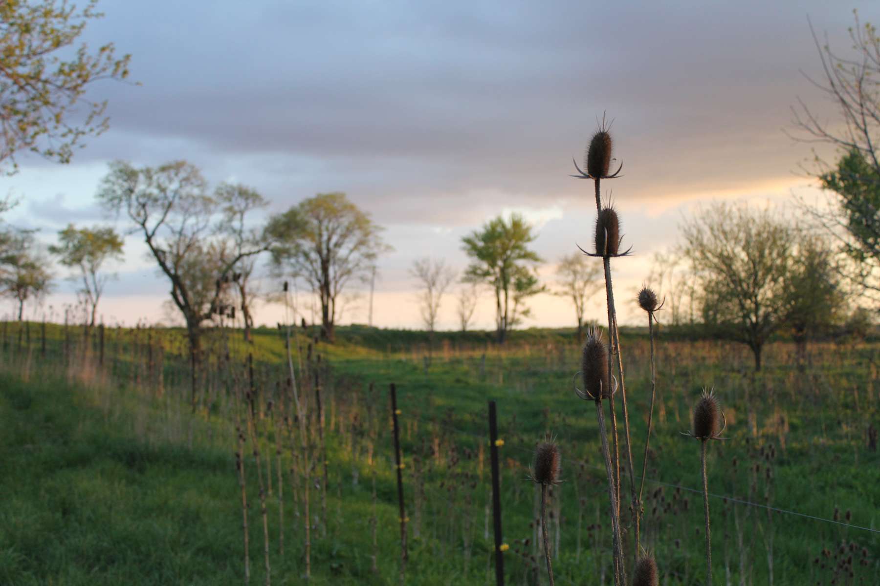 Historic Route 66 Hideaway - Hipcamp in Chenoa, Illinois