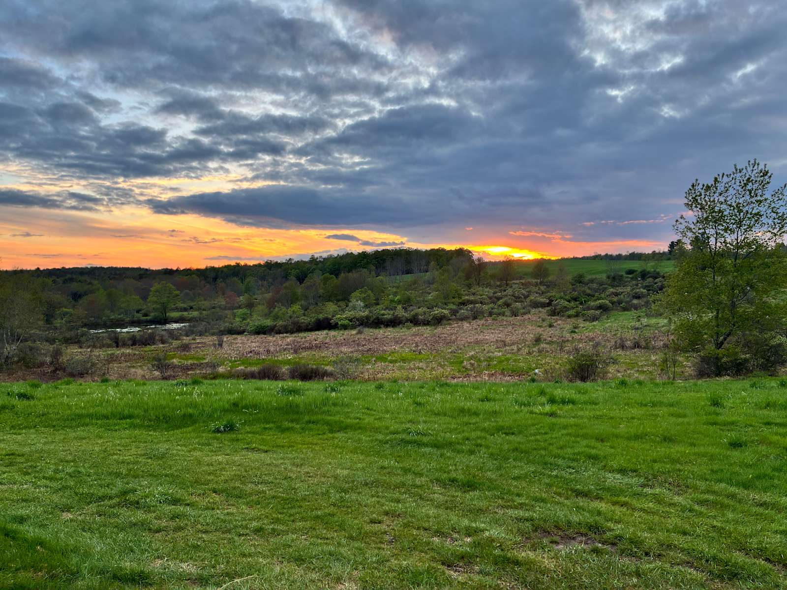 Maple Woods Farm - Hipcamp in Loch Sheldrake, New York