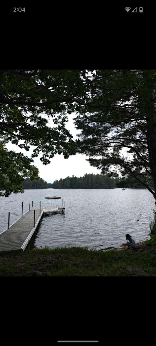 Quiet, Spacious Lakefront Property - Hipcamp in Westport, Ontario
