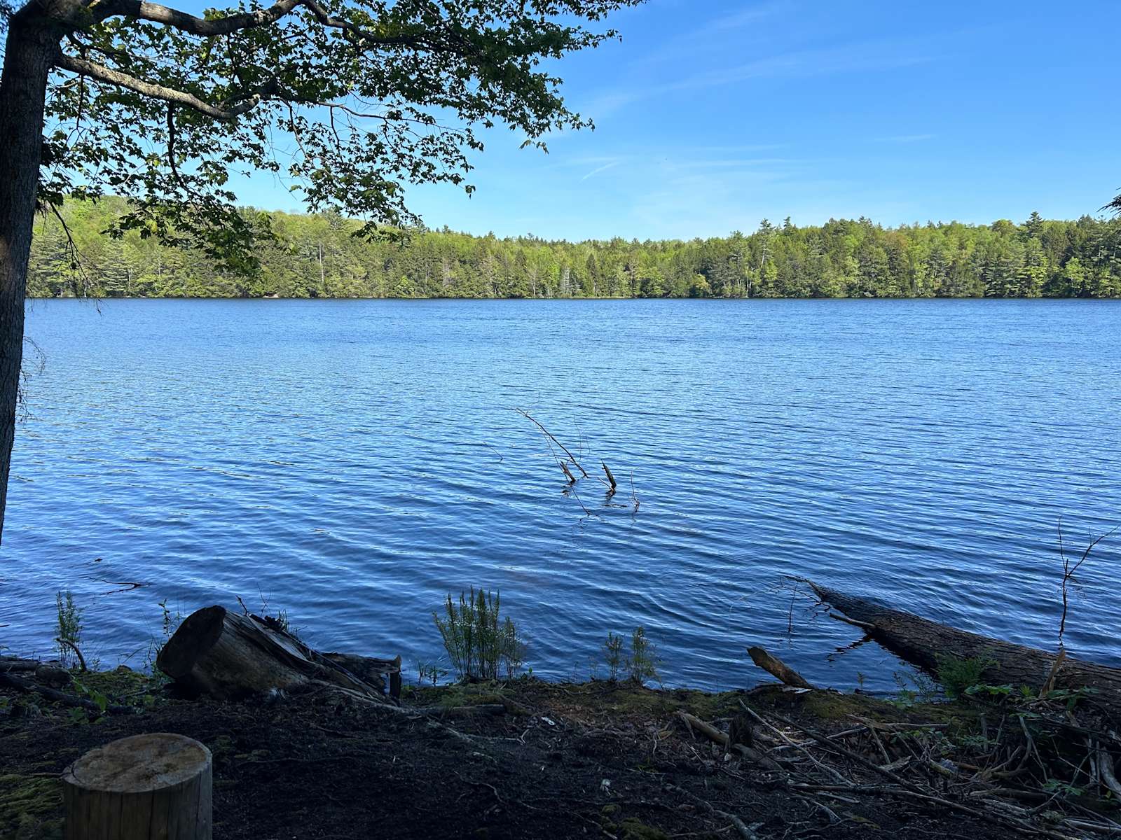 Wild Whim Campsites - Hipcamp in Edgecomb, Maine