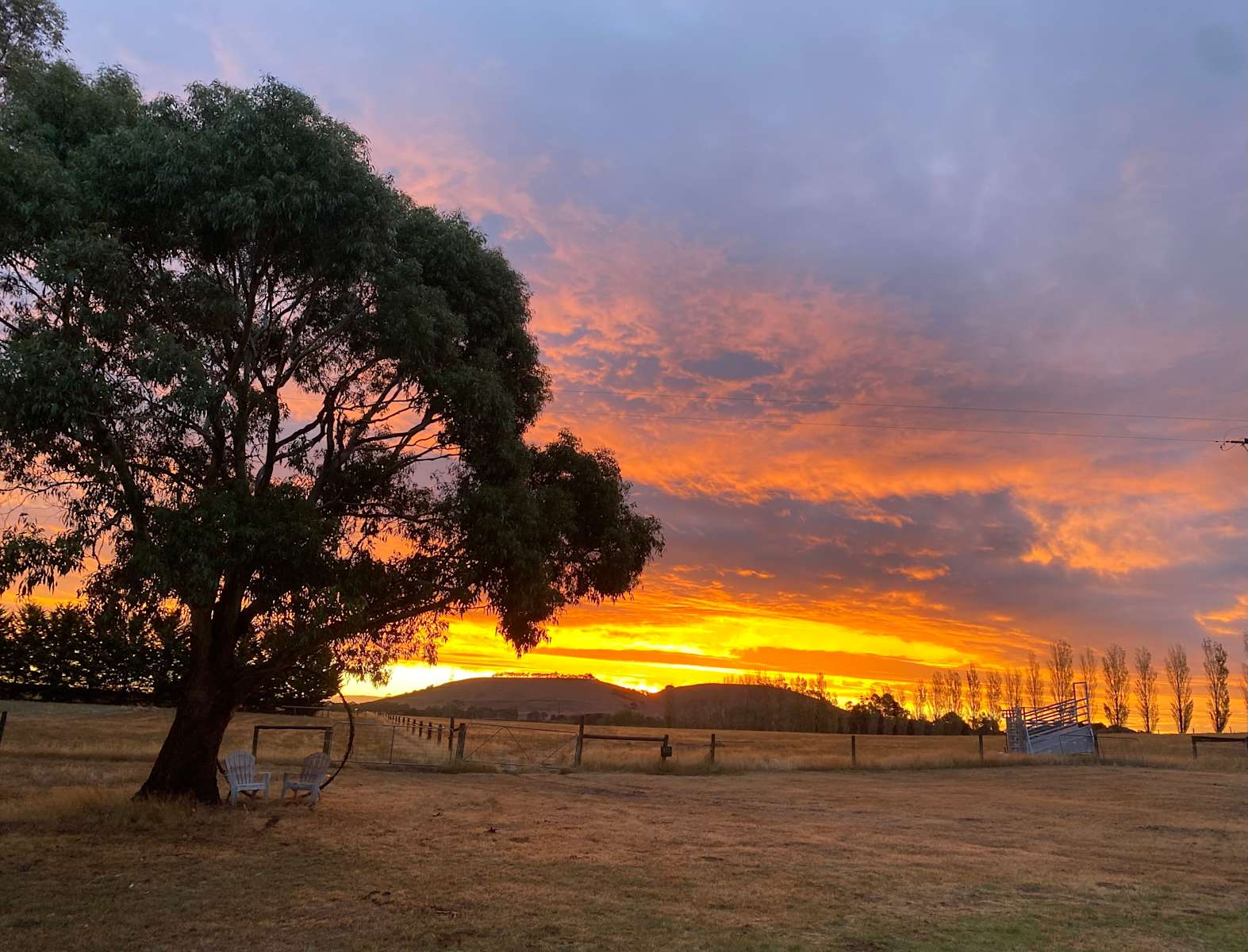 Yeramba Sunset Camp Site - Hipcamp in Ballarat, Victoria