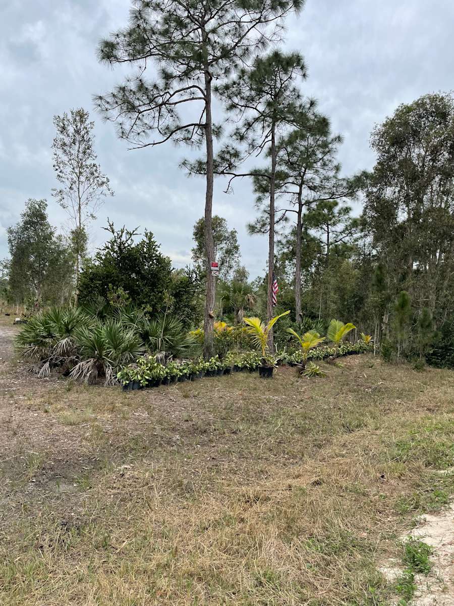 James Lynch - Hipcamp in Jupiter Farms, Florida
