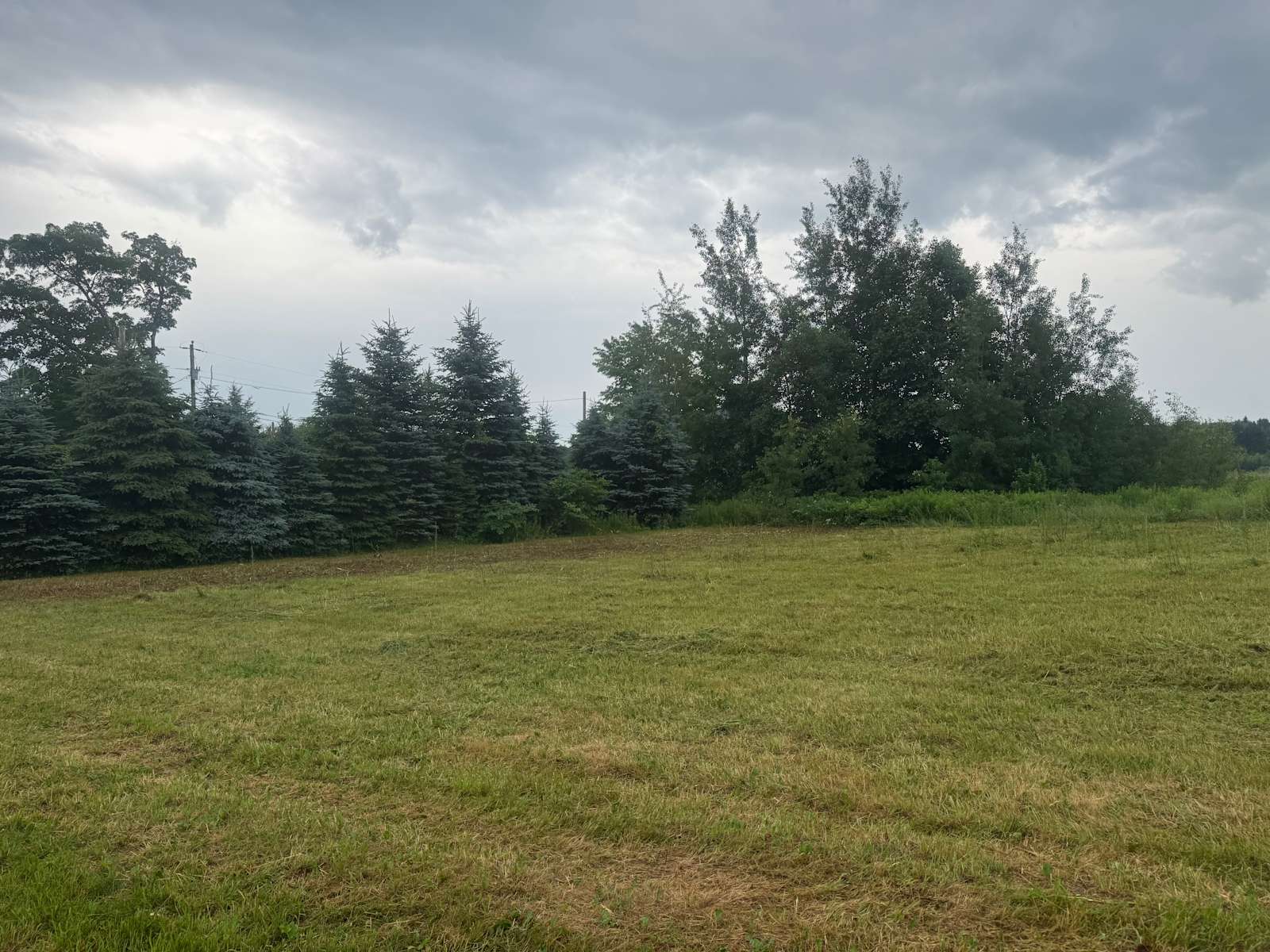 Wandering Moose Homestead - Hipcamp in Linneus, Maine