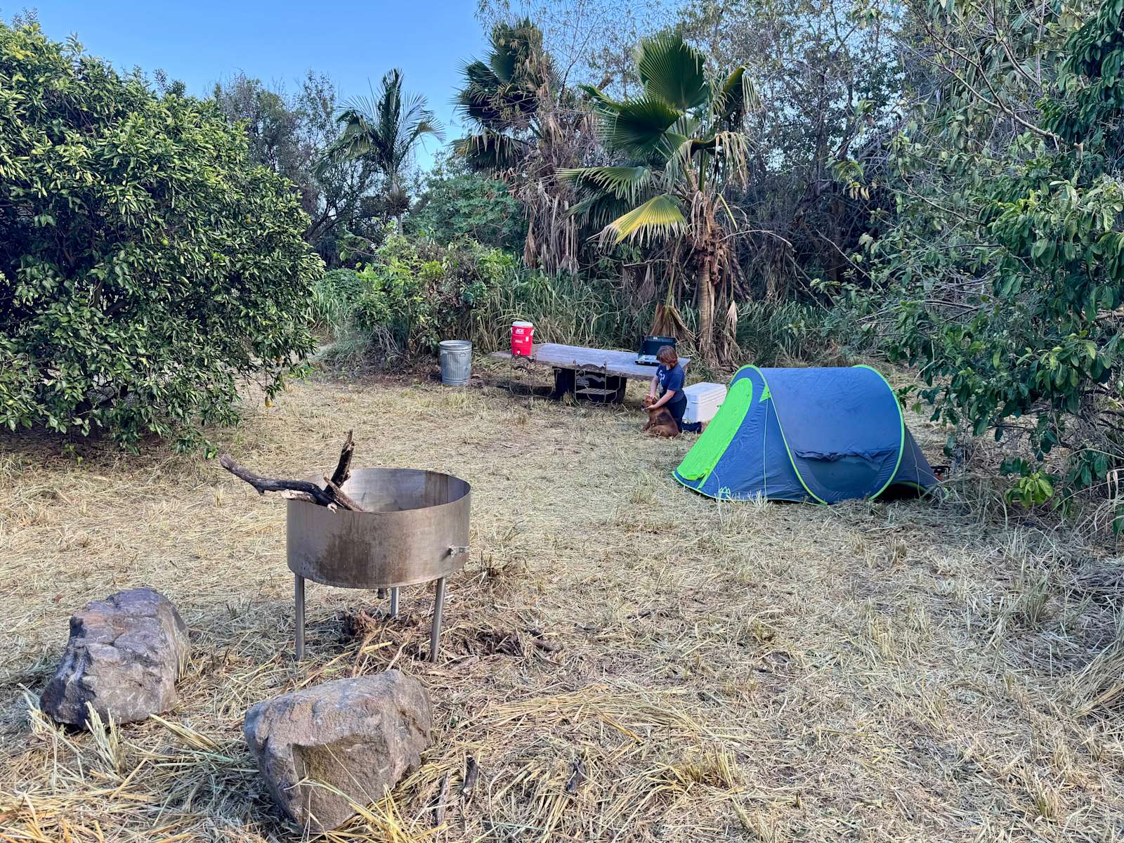 Volcano National Park Orchard Camp - Hipcamp in Pahala, Hawaii