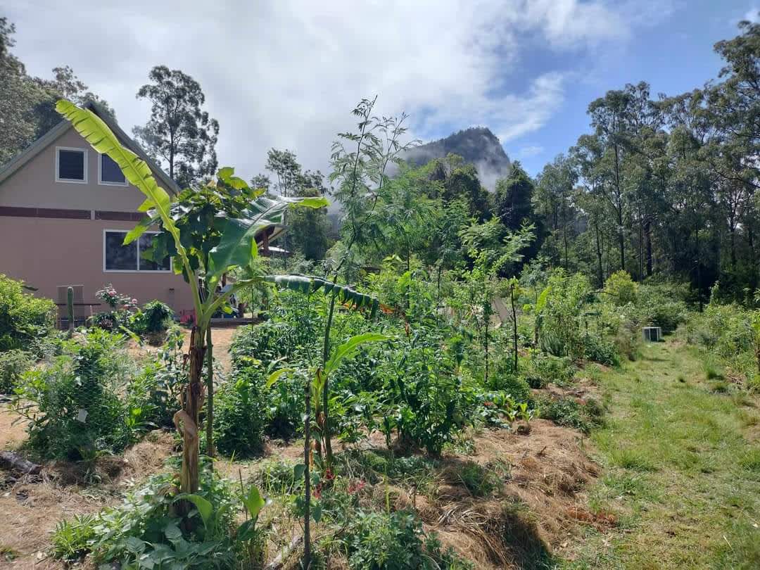 Red Ash Forest Farm - Hipcamp in Koreelah, New South Wales