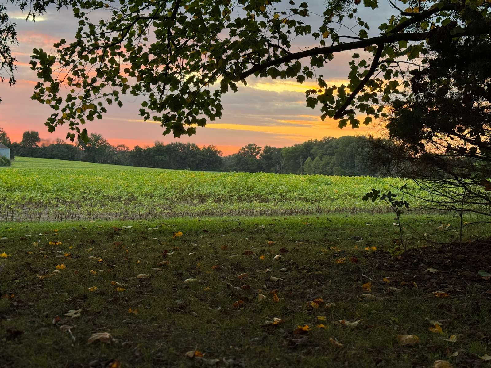 Travelers Farm RV Park - Hipcamp in Covington, Tennessee
