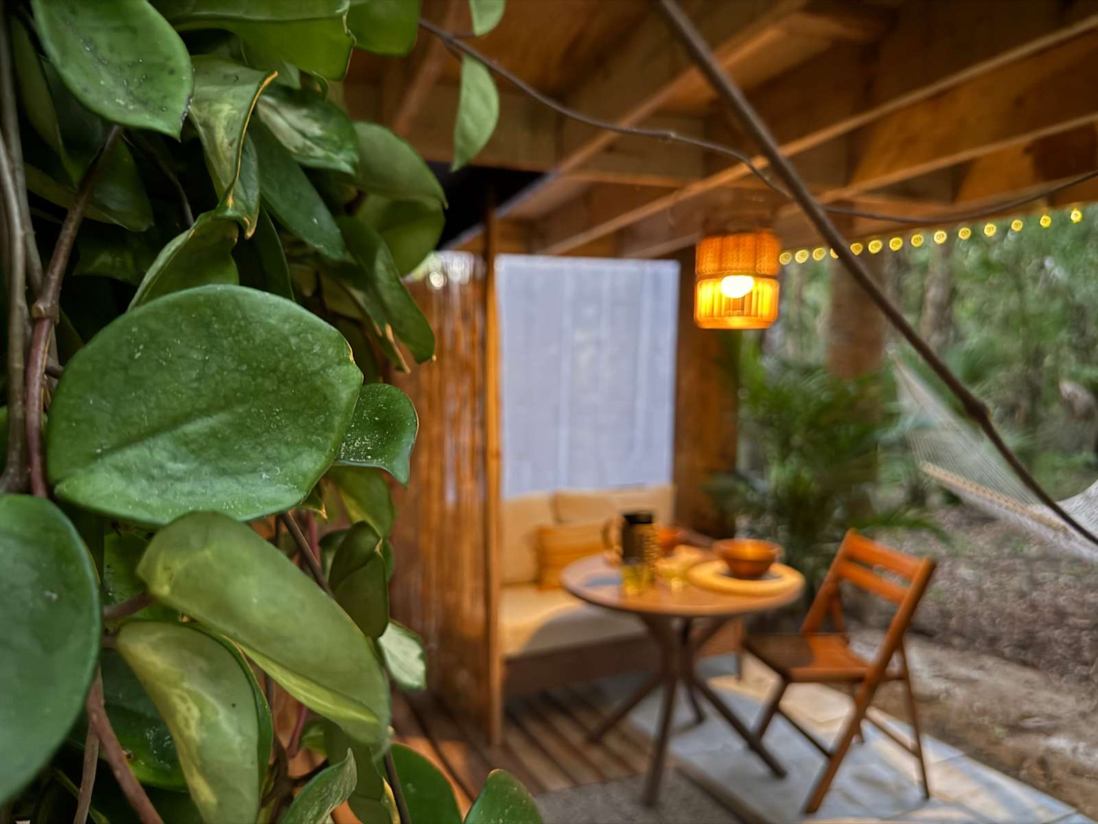 Hidden Oak Hideaway Treehouse - Hipcamp in Arcadia, Florida