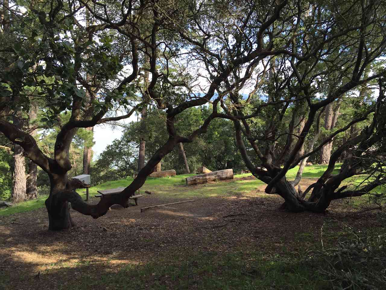Angel Island Campground in Angel Island State Park, California: Reviews ...