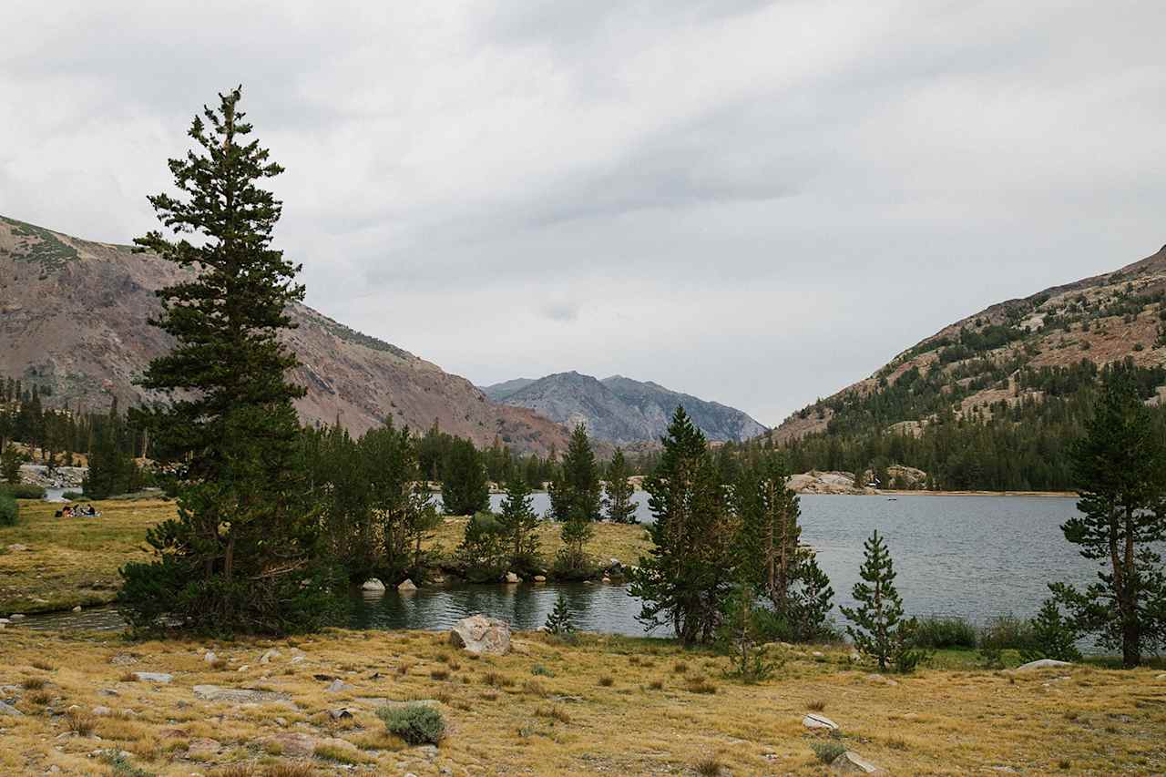 Tioga Lake Campground in Inyo National Forest, California: Reviews and ...