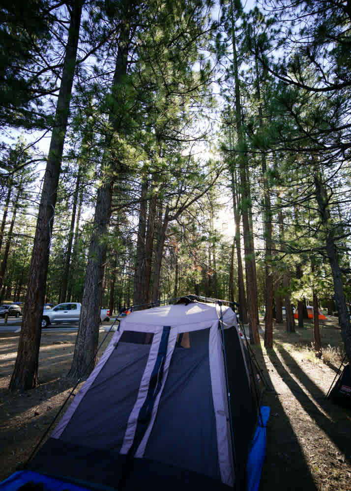 Barton Flats Campground in San Bernardino National Forest, California ...