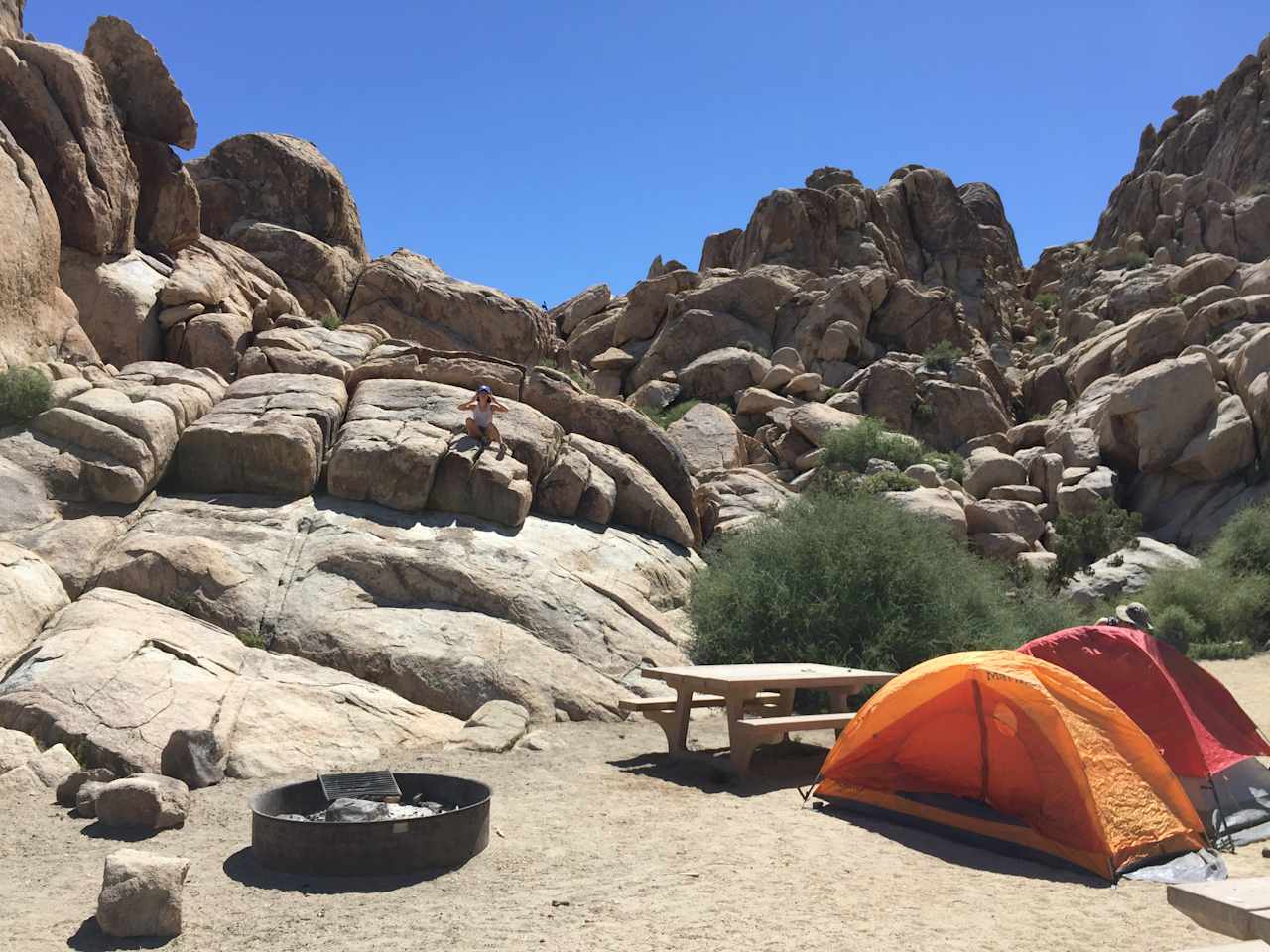 Sheep Pass Group Campground in Joshua Tree National Park, California ...