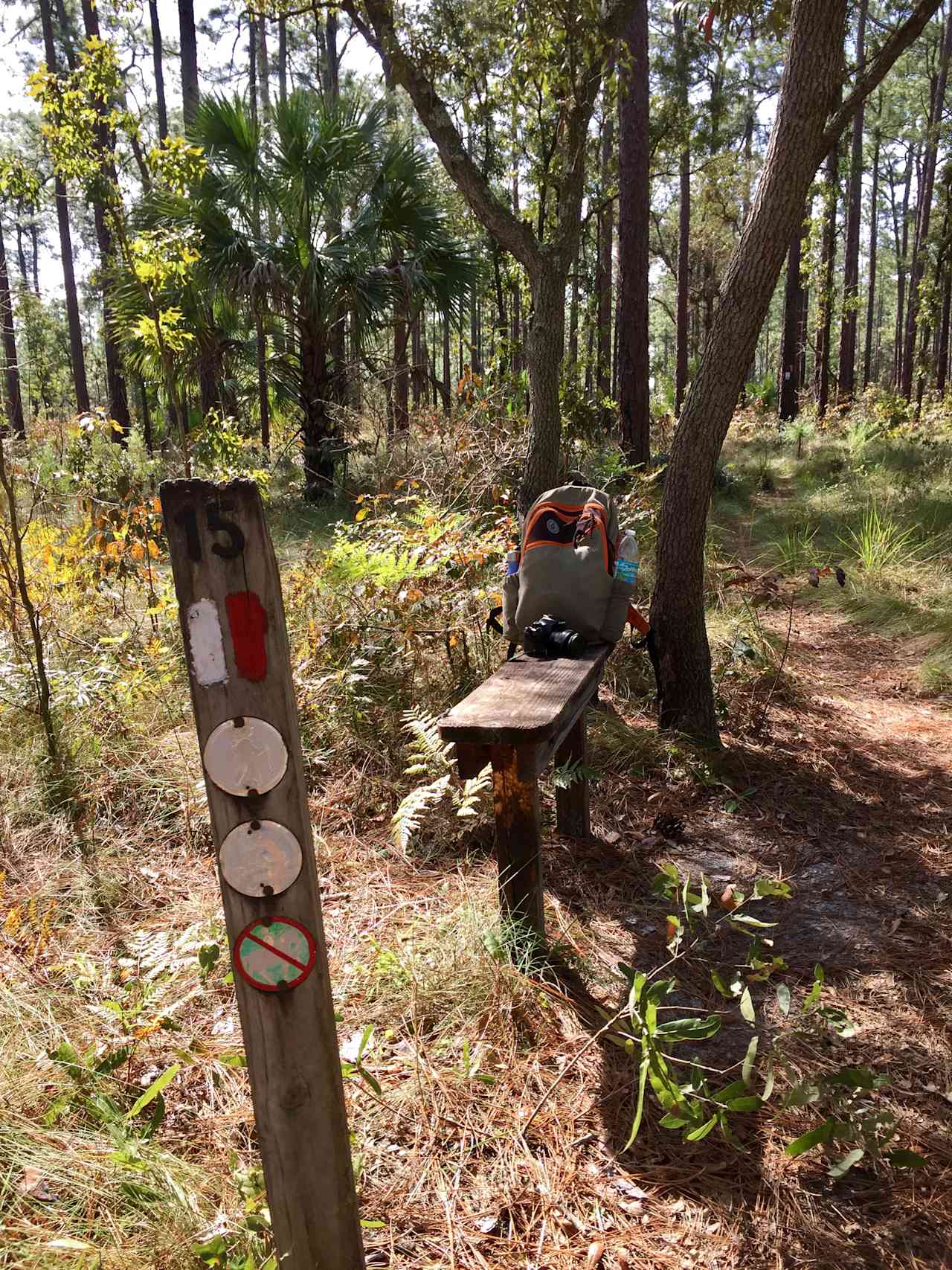 Wekiwa Springs Campground in Wekiwa Springs State Park, Florida ...