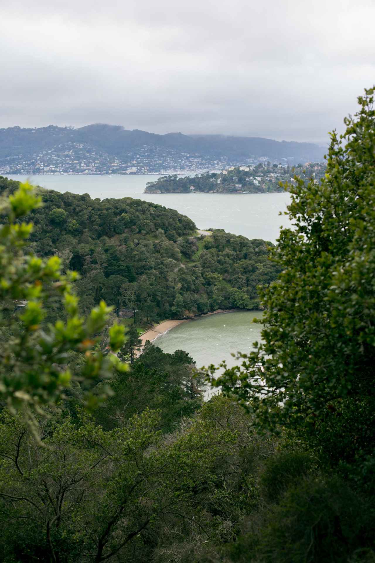 Angel Island Campground in Angel Island State Park, California: Reviews ...