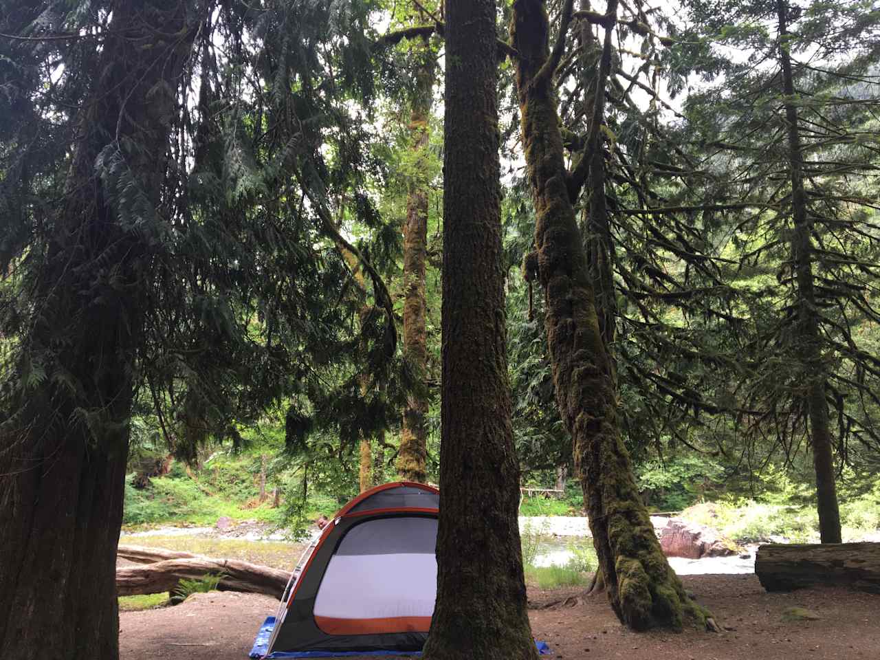 Staircase Campground in Olympic National Park, Washington: Reviews and ...