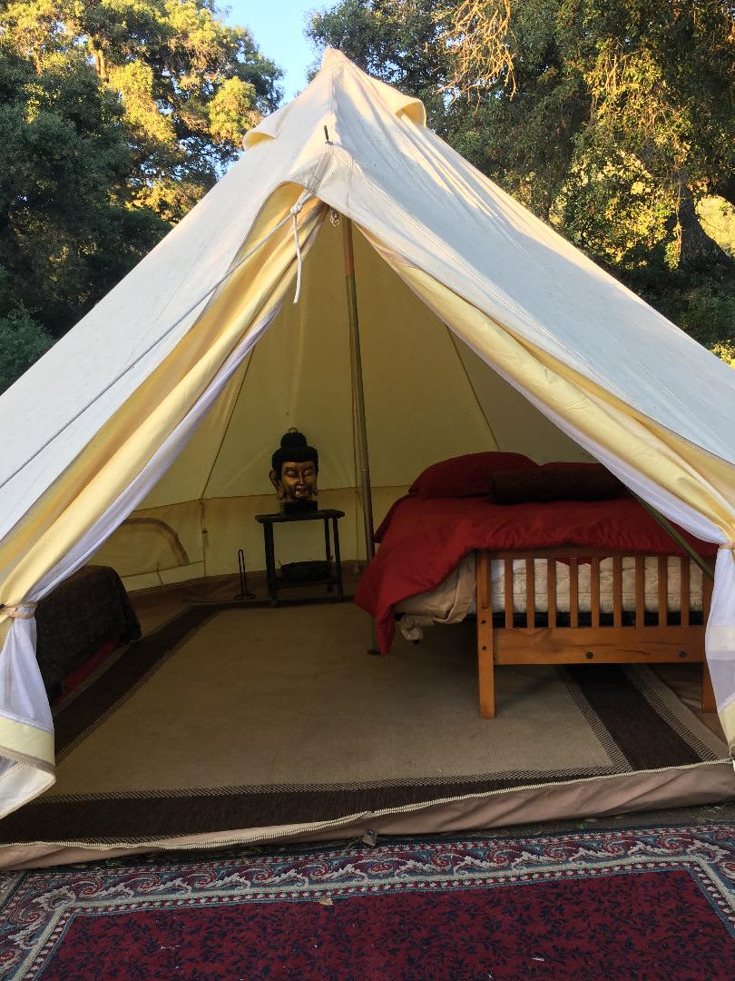 Magical Harrison Serenity Ranch - Hipcamp in Palomar Mountain, California
