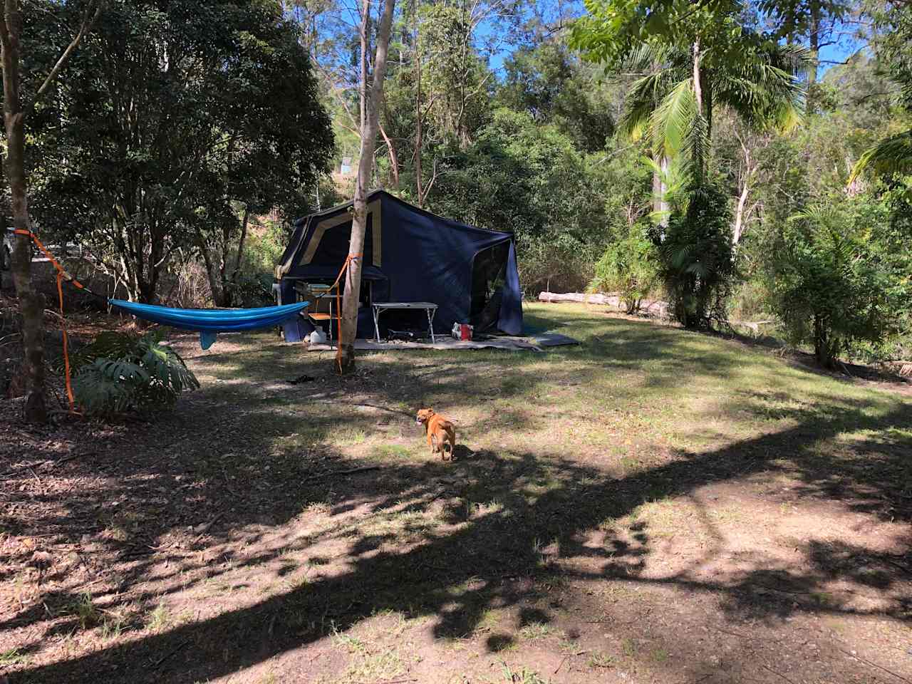 Cedar Creek Camp Ground - Hipcamp in Cedar Creek, Queensland